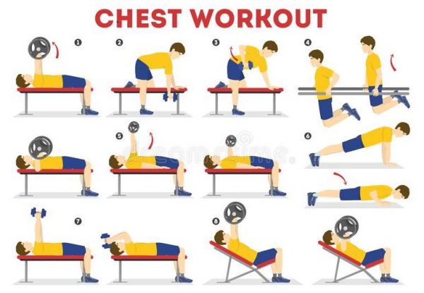Chest Workouts : Benefits And Examples